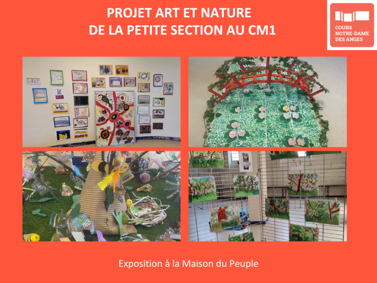 Projet_Art_et_Nature - Cours Notre Dame des Anges